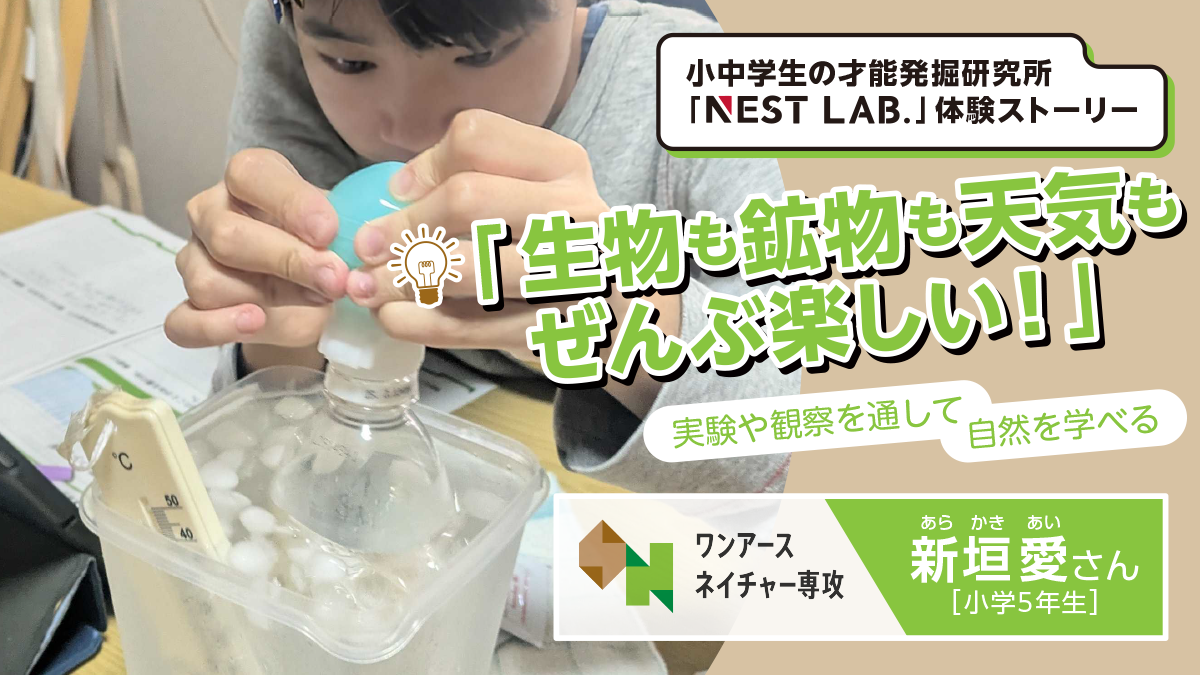 生物も鉱物も天気もぜんぶ楽しい！実験や観察を通して自然を学べる【NEST LAB.体験ストーリー】│コカネット